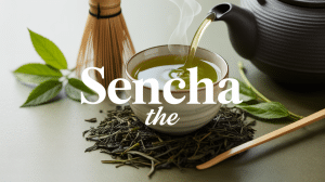 Sencha thé : bienfaits, préparation et caractéristiques du thé vert ...